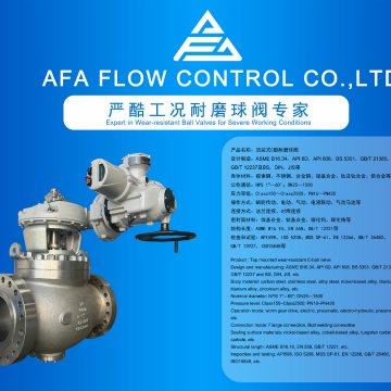 Afa Flow Control Co., Ltd. appeared at the 2025 AchemAsia Exhibition